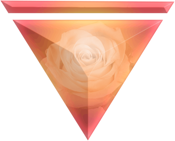 Magdalena of the Rose : White Rose Transmission - The Rose Lineage