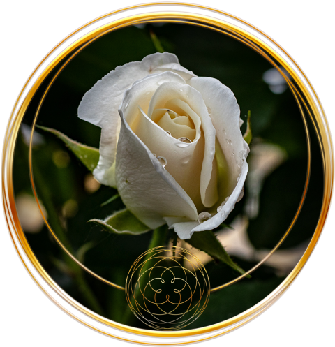 Daughters of the Rose Lineage - The Rose Lineage