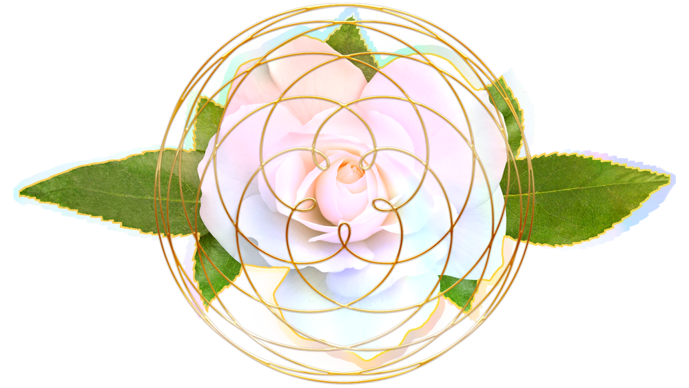 Union // Venusian Rose Reset Phase - The Rose Lineage