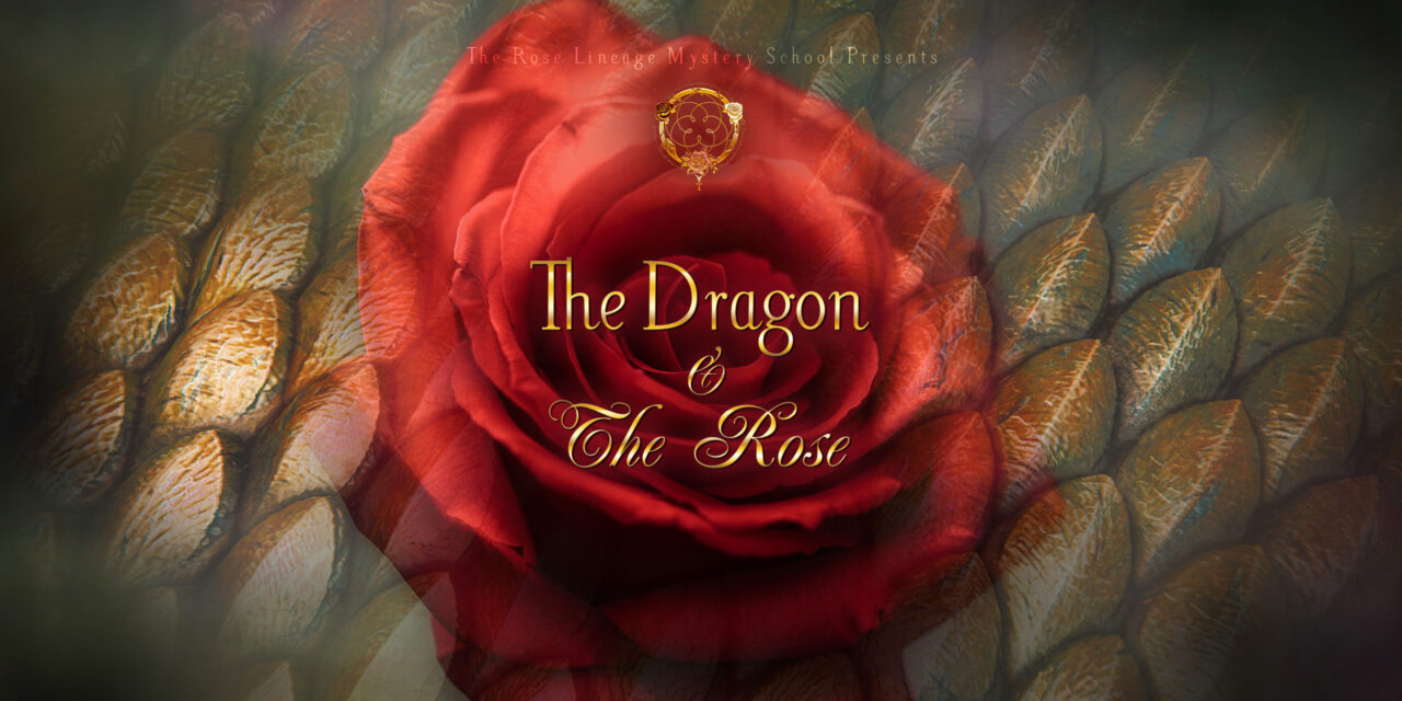 The Dragon and the Rose - The Rose Lineage